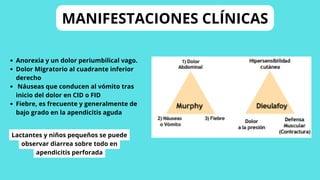 anatomia abdominal apendicitis aguda.pdf