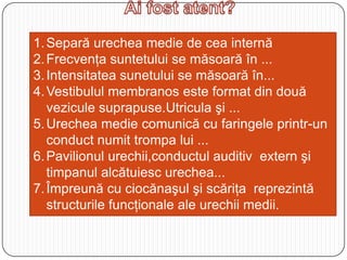 Anatomia analizatorului statoacustic al omului | PPTX