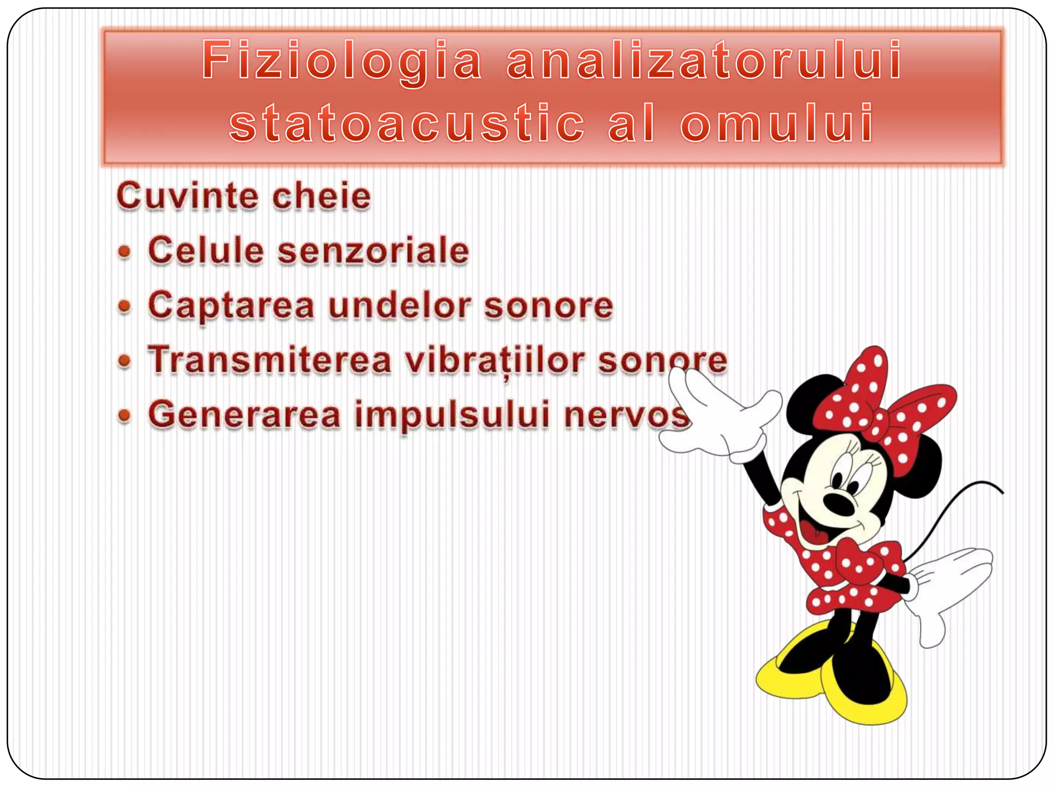 Anatomia analizatorului statoacustic al omului | PPTX