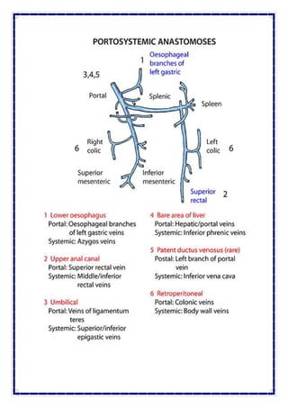 Anatomia anastomosis porto cava sdpc | PDF