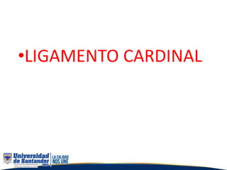 Anatomia aparato reproductor femenino | PPTX