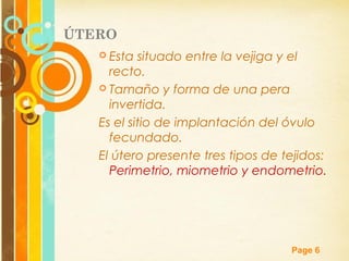 Anatomia aparato reproductor femenino | PPT