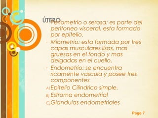 Anatomia aparato reproductor femenino | PPT