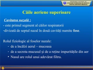 Anatomia- descriptiva-aparatului respirator.ppt