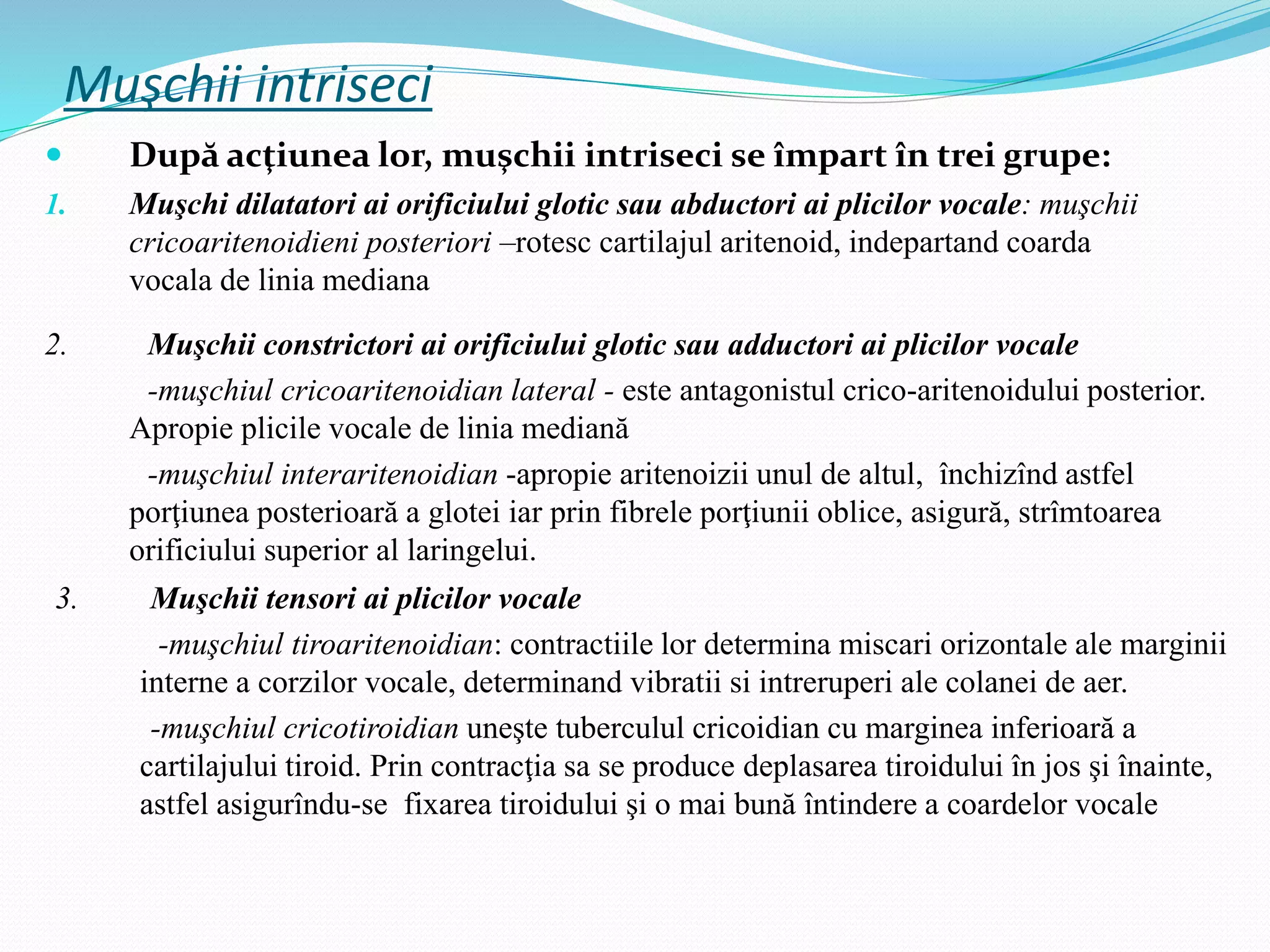 Anatomia aparatului respirator superior | PPTX