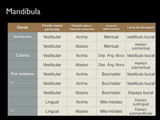 Anatomia aplicada a implantodontia | PDF