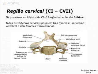 Anatomia Aplicada da Coluna Cervical | PPTX