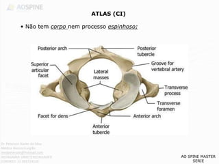 Anatomia Aplicada da Coluna Cervical | PPTX