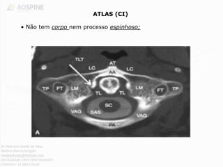 Anatomia Aplicada da Coluna Cervical | PPTX