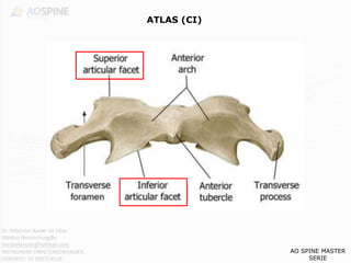 Anatomia Aplicada da Coluna Cervical | PPTX