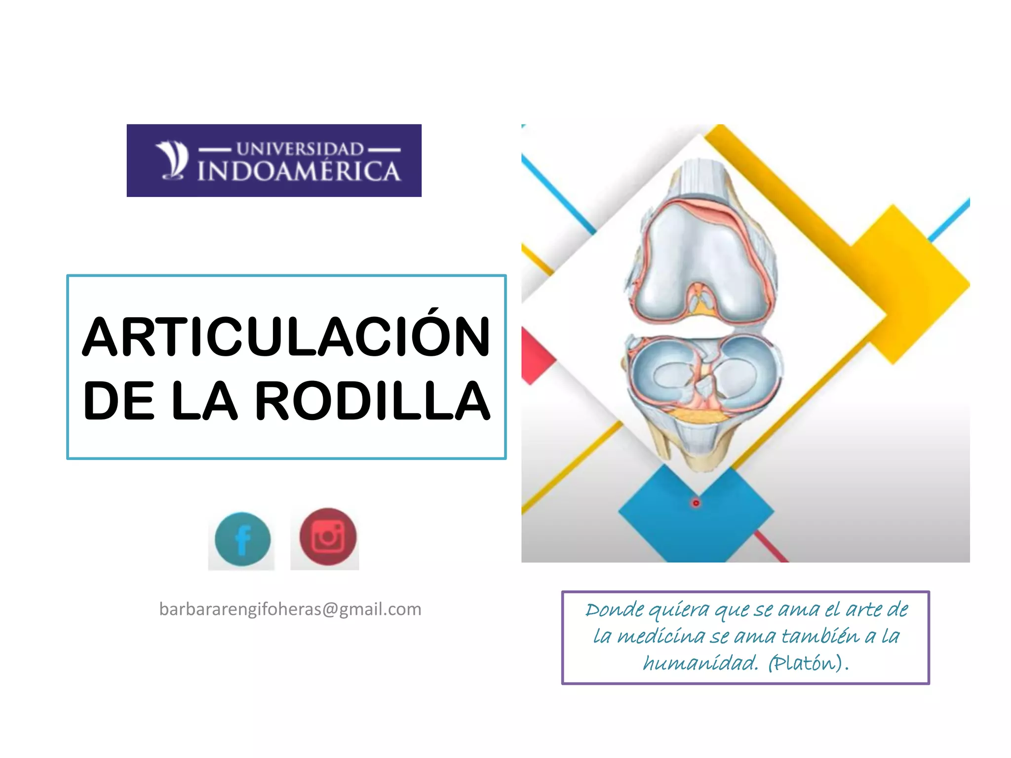 Anatomía articulación de la rodilla | PDF