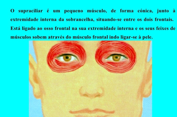 Anatomia Artistica