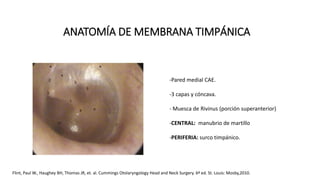 Anatomia audicion | PPTX