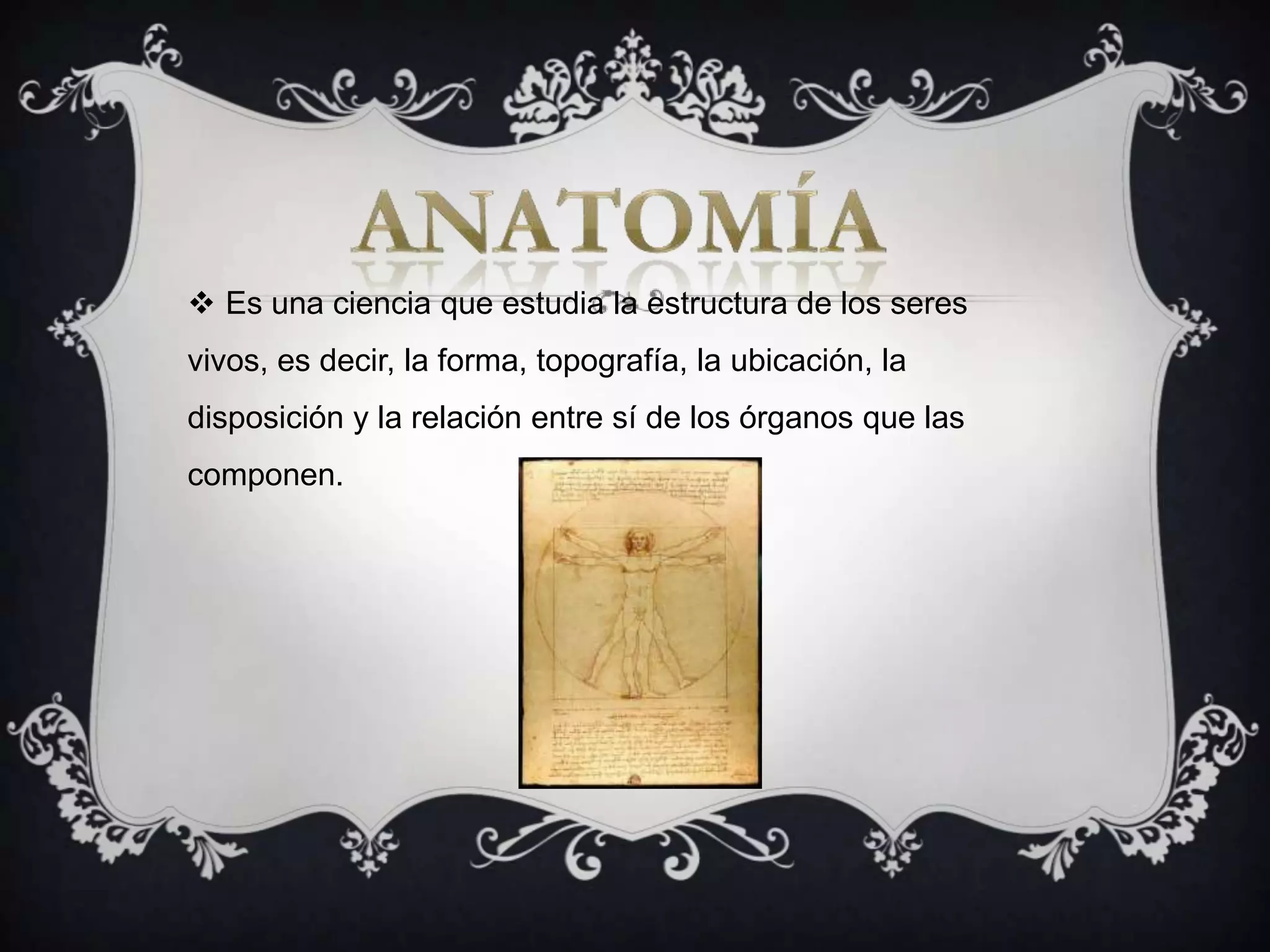 Anatomia basica | PPTX