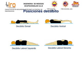 Anatomía_Básica-_el__cuerpo_Humano[1].pptx