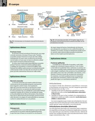 Anatomia Basica - Gray.pdf EDICIÓN ESPAÑOL COMPLETO | PDF