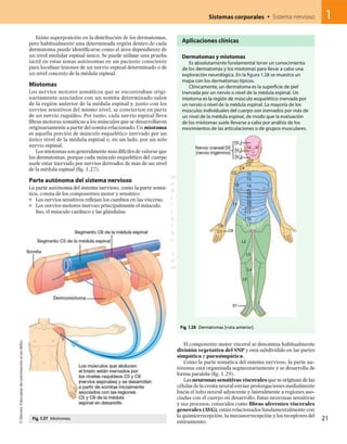 Anatomia Basica - Gray.pdf EDICIÓN ESPAÑOL COMPLETO | PDF