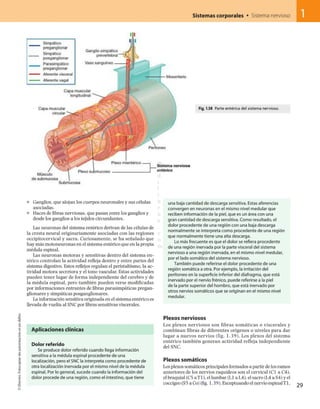 Anatomia Basica - Gray.pdf EDICIÓN ESPAÑOL COMPLETO | PDF
