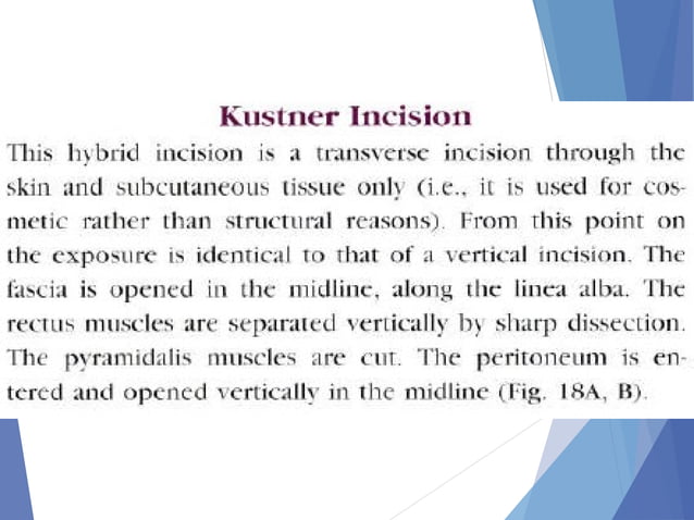 Abdominal incision and abdominal anatomy | PPT | Pregnancy ...