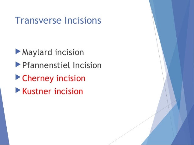 Abdominal incision and abdominal anatomy