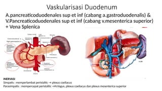 Materi Anatomi Organ Abdomen dan sekitarnya | PPTX