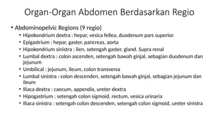 Materi Anatomi Organ Abdomen dan sekitarnya | PPTX