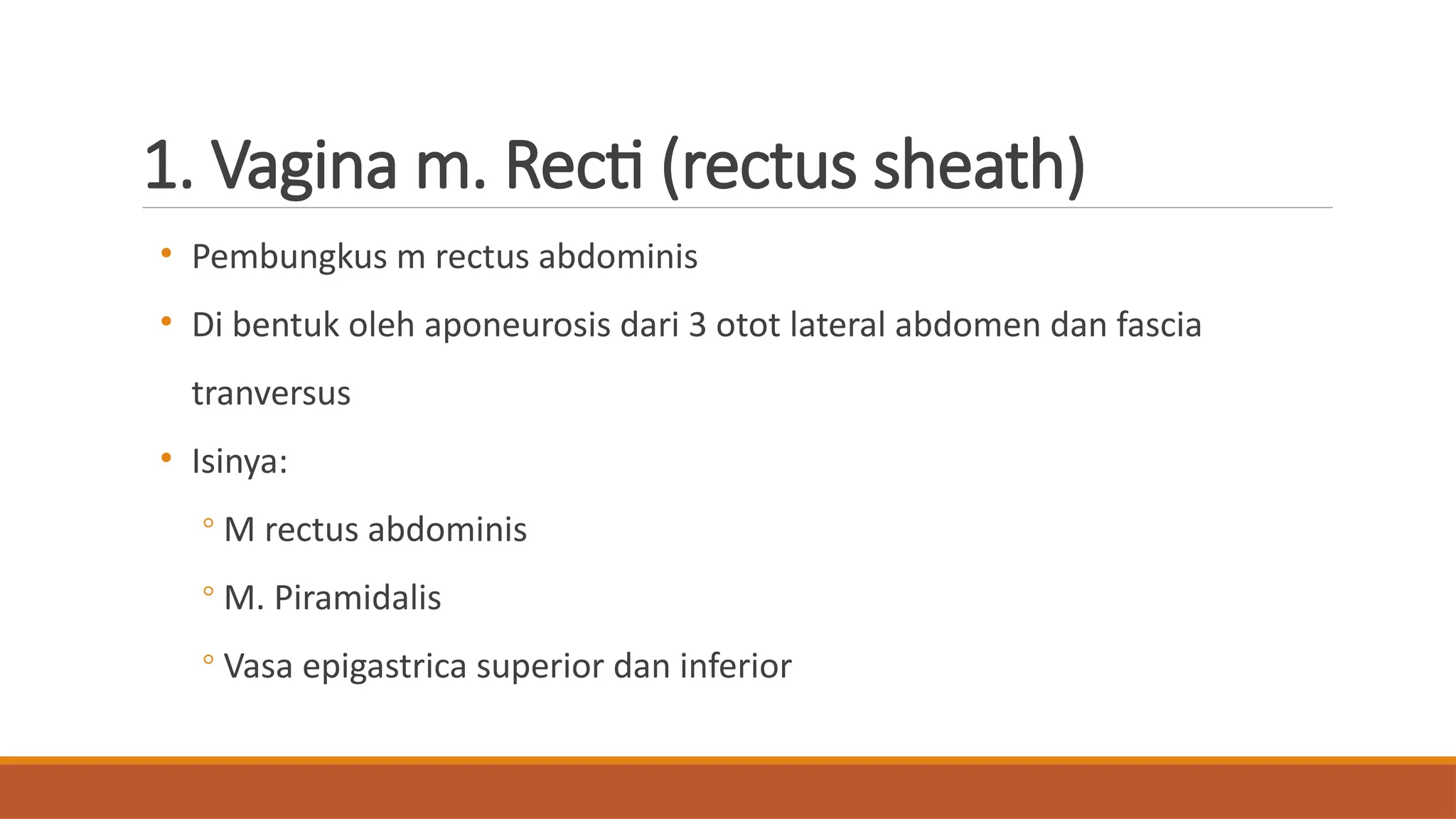 anatomi abdomenanatomi abdomenanatomi abdomen.pptx