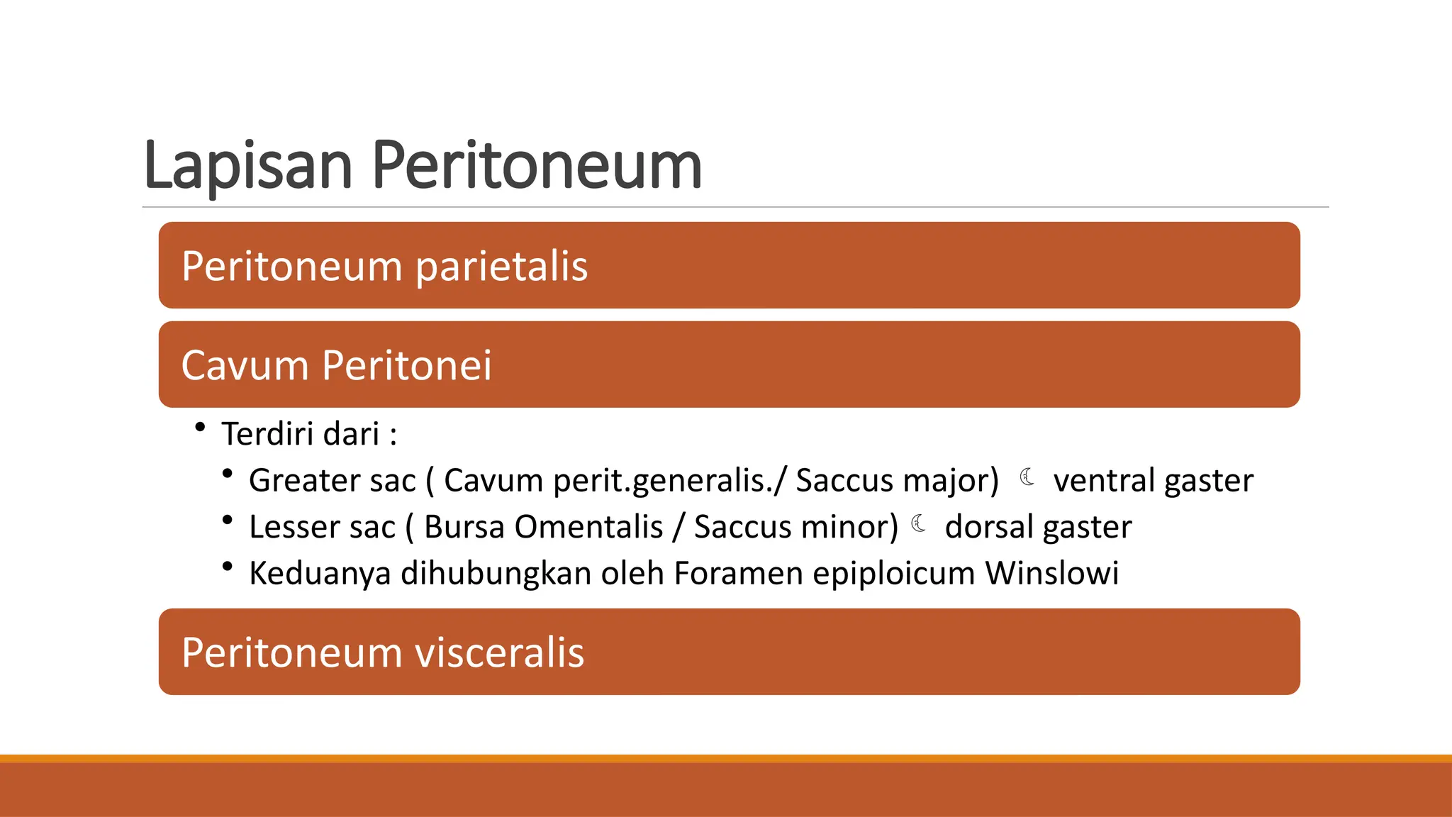 anatomi abdomenanatomi abdomenanatomi abdomen.pptx