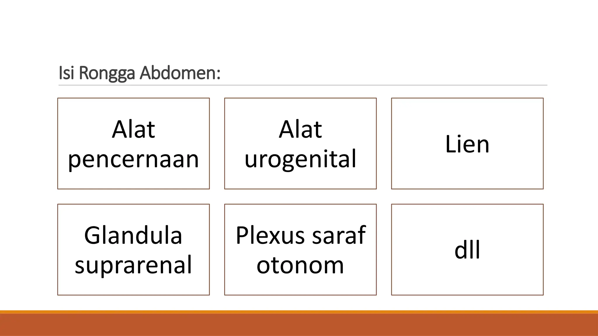 anatomi abdomenanatomi abdomenanatomi abdomen.pptx