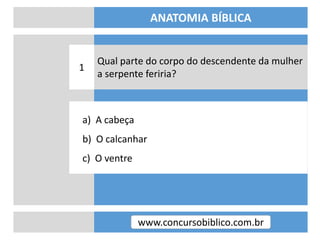 Anatomia Biblica Perguntas e Respostas | PPTX