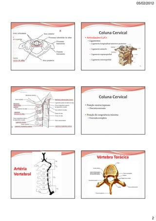 Anatomia Biomecanica | PDF