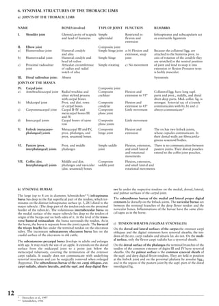Anatomia bovinos | PDF