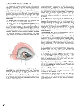 Anatomia bovinos | PDF