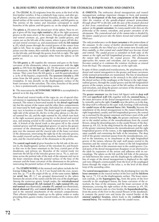 Anatomia bovinos | PDF