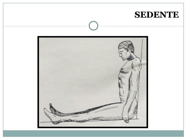 Anatomia básica y posiciones de cadáver