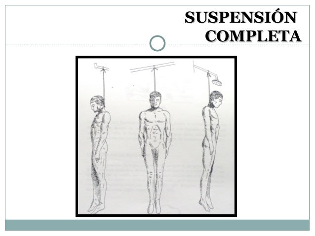 Anatomia básica y posiciones de cadáver