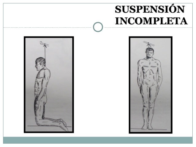 Anatomia básica y posiciones de cadáver