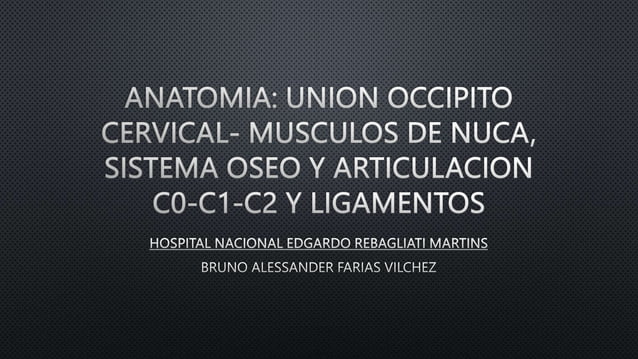 ANATOMIA C1 - C2 - LIGAMENTOS NUEROANATOMIA | PPTX | Physical Therapy ...