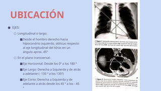 ANATOMIA CARDIACA ESTUDIANTES DE MEDICINA | PPTX