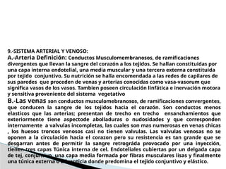 ANATOMIA CARDIOVASCULAR (SISTEMA CARDIACO).pptx