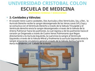 ANATOMIA CARDIOVASCULAR (SISTEMA CARDIACO).pptx
