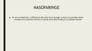ANATOMIACAVIDAD ORAL.ppt