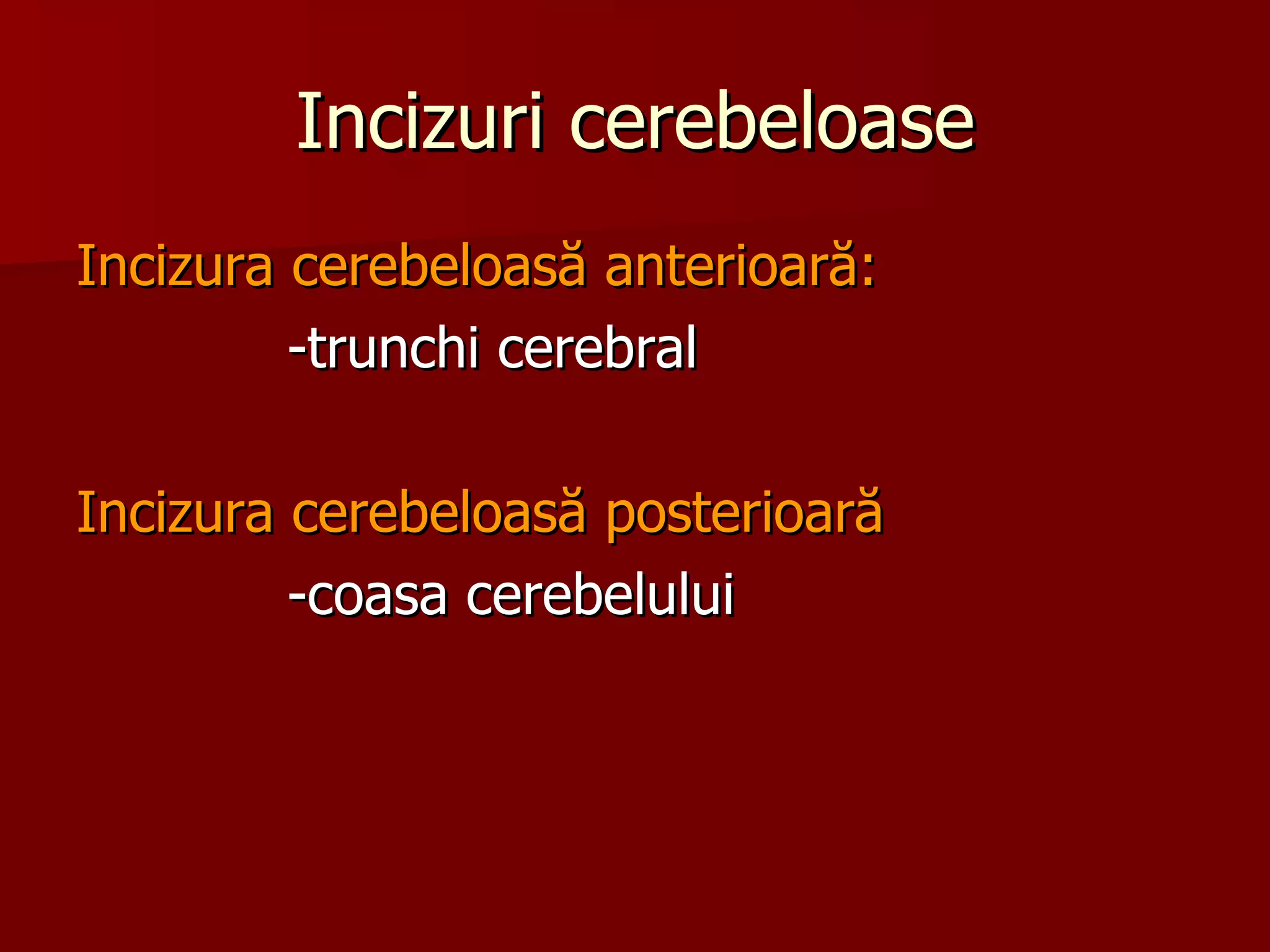 Anatomia cerebelului | PPT