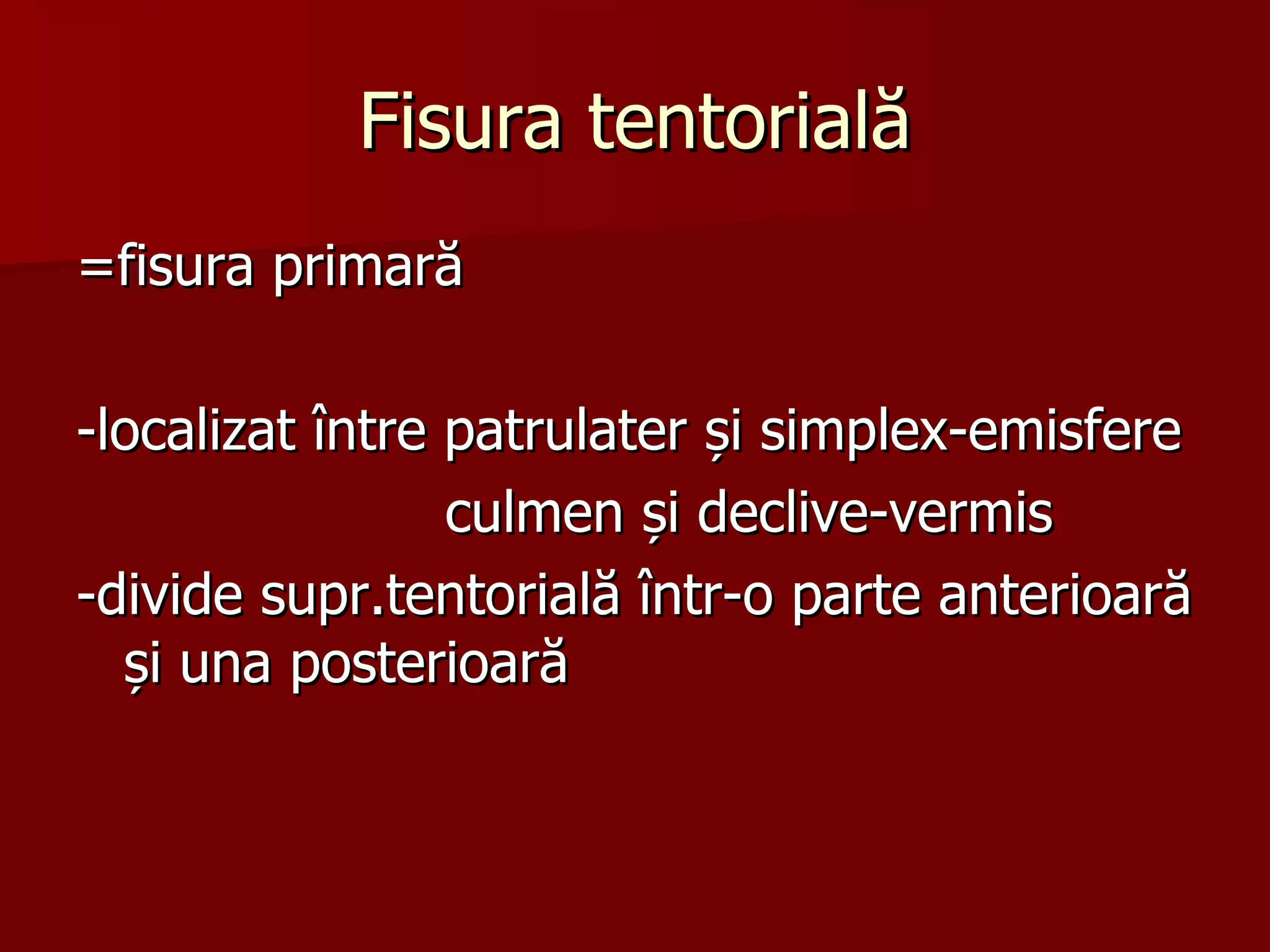 Anatomia cerebelului | PPT