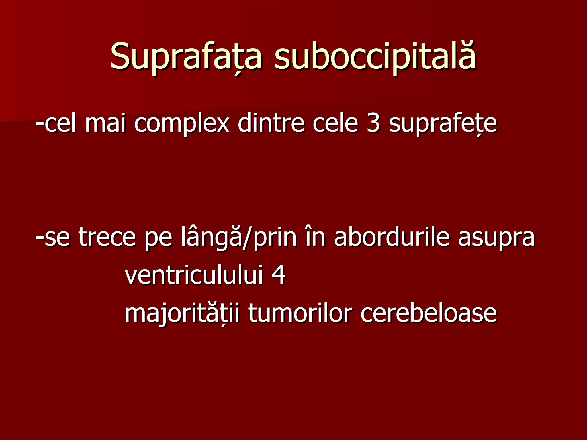 Anatomia cerebelului | PPT