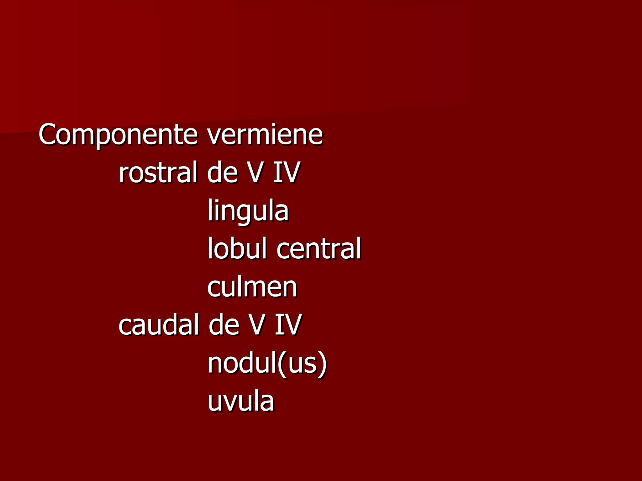 Anatomia cerebelului | PPT