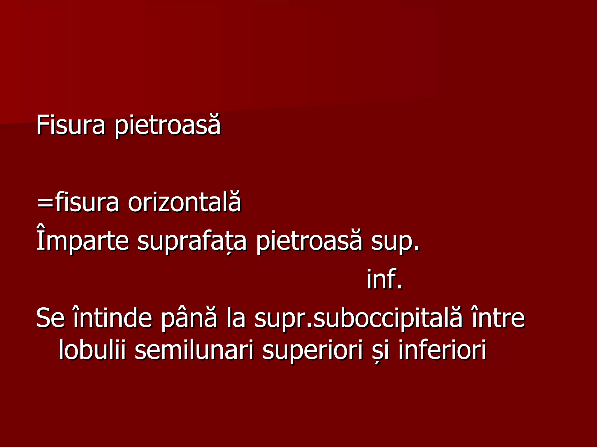 Anatomia cerebelului | PPT