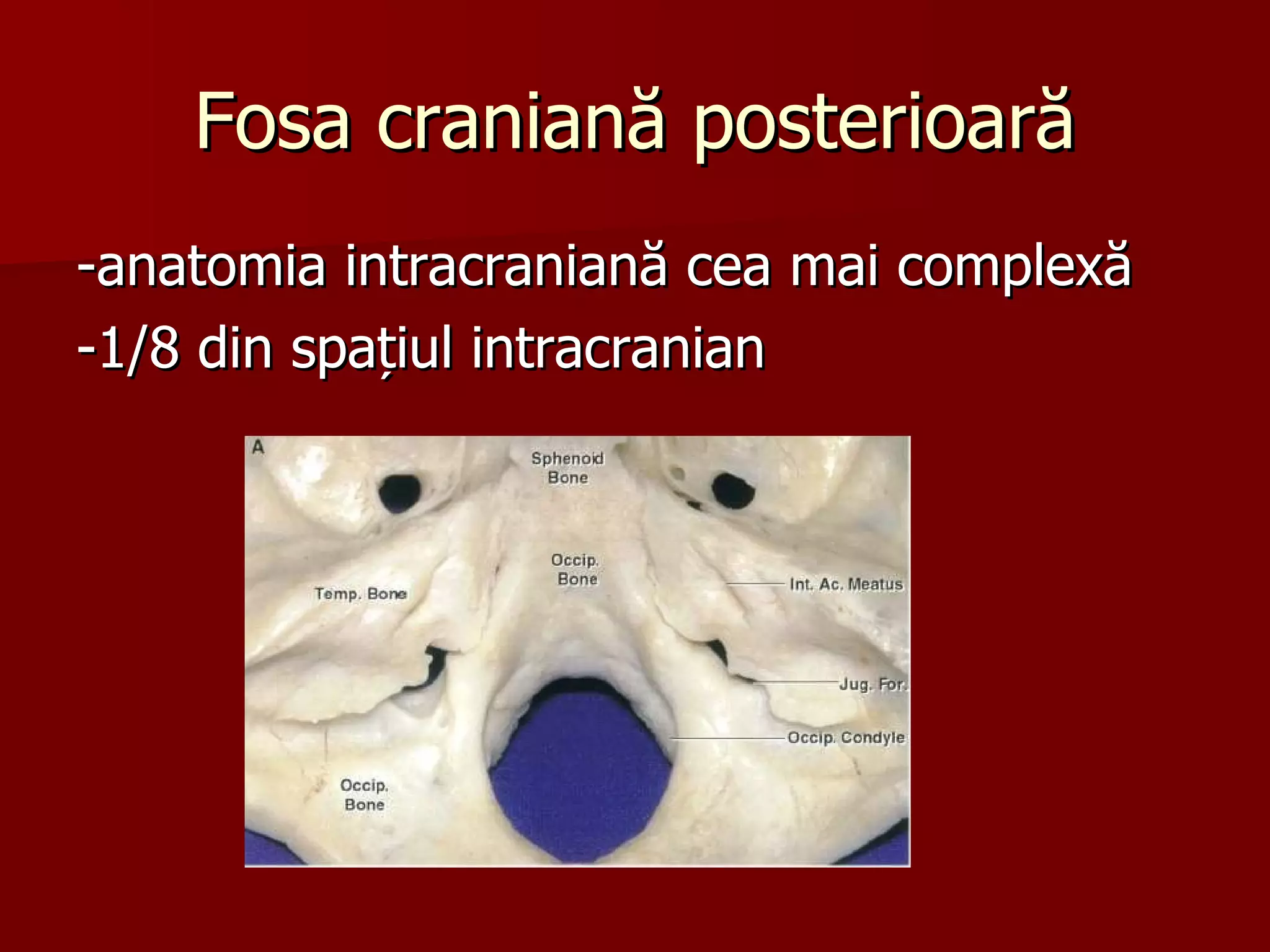 Anatomia cerebelului | PPT