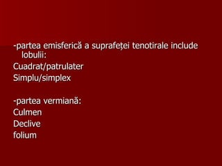 Anatomia cerebelului | PPT