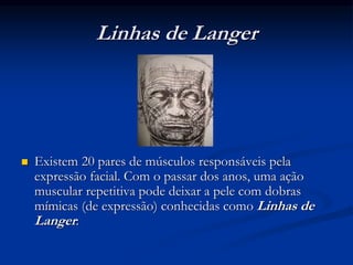 Anatomia Cirúrgica da Face II | PPT